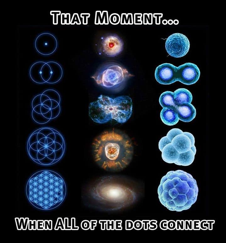 Sacred Geometry Codes in Nature – EMF Shield - WiFi and Phone Protection